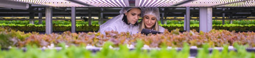 About Us - Britannia Life Sciences